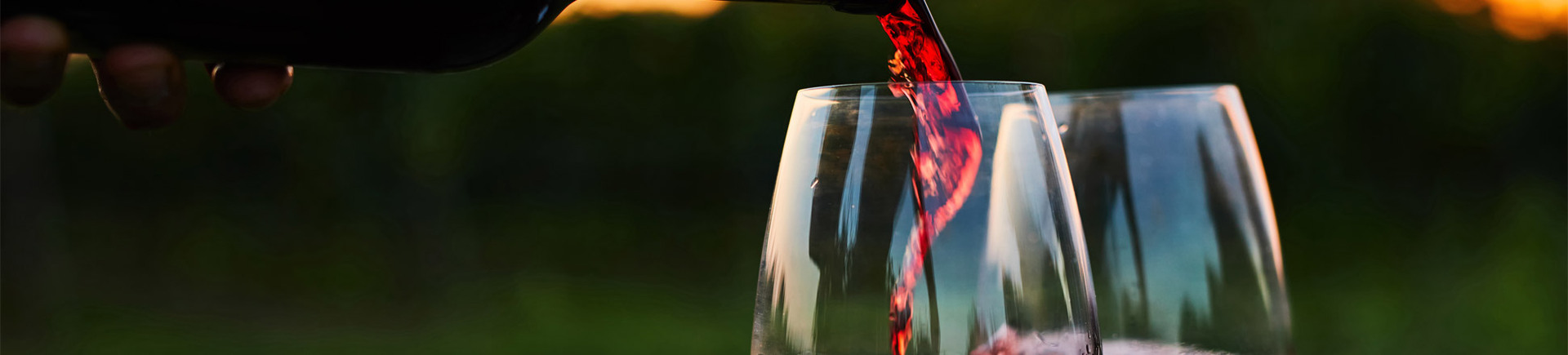Buy Best Red Wine Online | Mr.Wheeler Wine