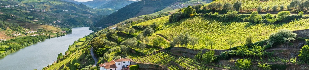 Buy Best Port Online | Mr.Wheeler Wine